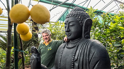 Michael Ceron: Der Zitratmagnat